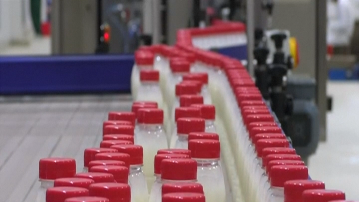 Iraq Eyes Cutting Imports With New Basra Dairy Plant