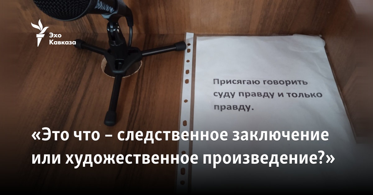 «Это что следственное заключение или художественное произведение