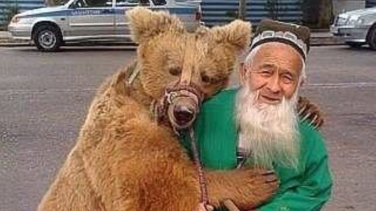 Tajiks Want Statue Immortalizing 'Bear Man Of Dushanbe'