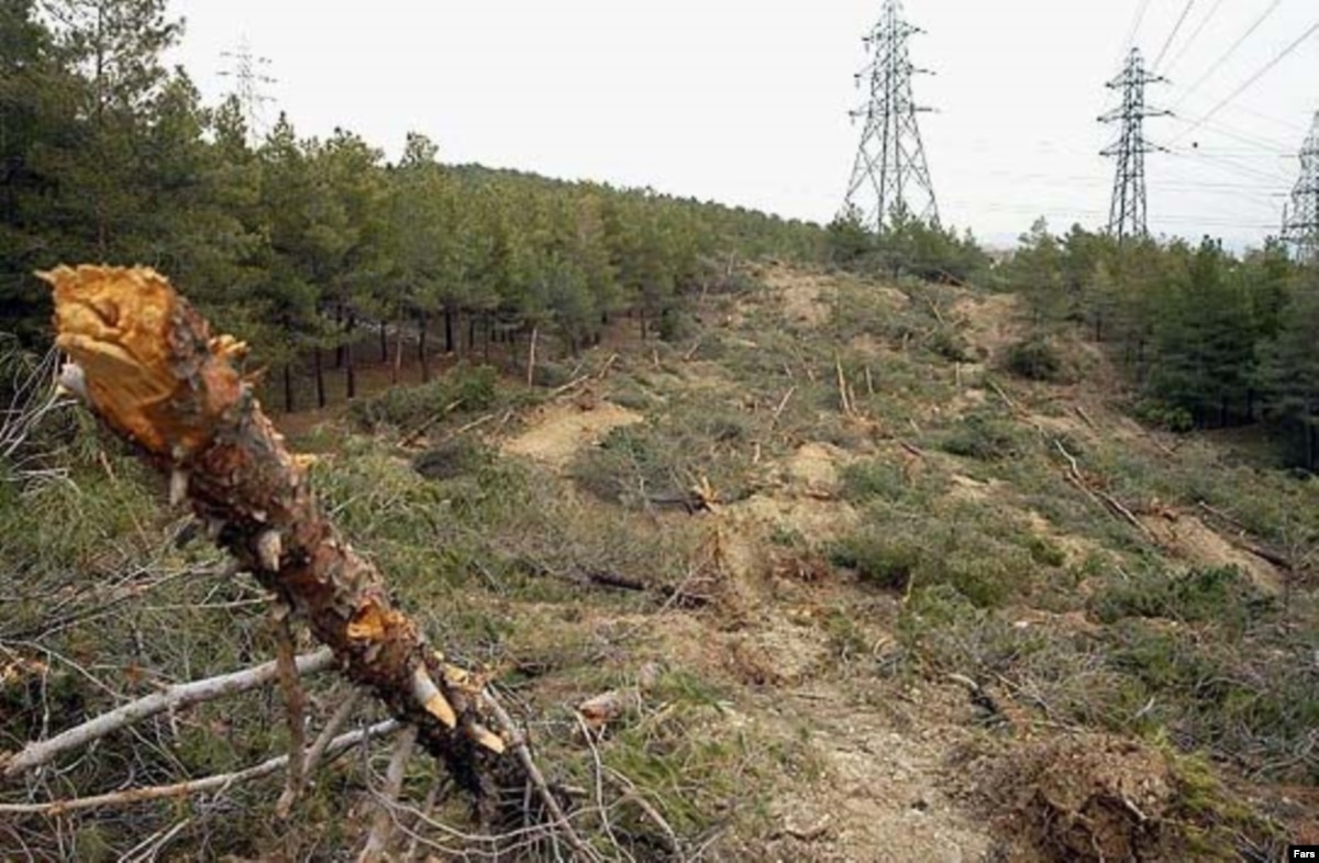 Central/South Asia: Deforestation Makes Mark On Region, Its People