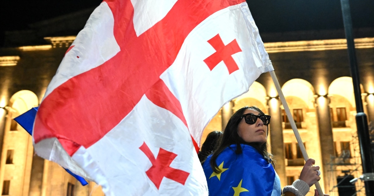 Georgian Opposition Seeks Big Protests But Election Boycott Highlights ...