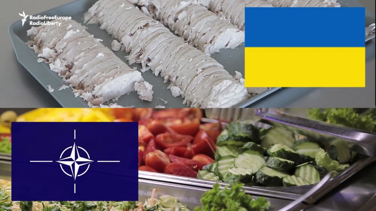 Ukrainian Soldiers Hunger For NATO Grub