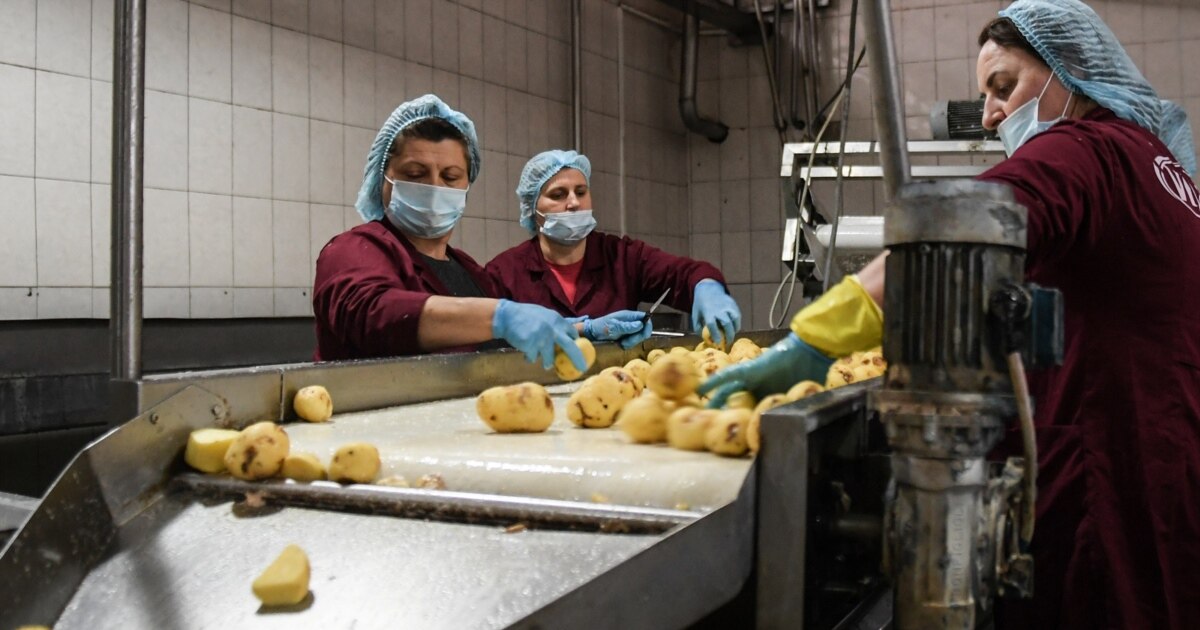 Bashkimi i tregut të punës Kosovë - Shqipëri