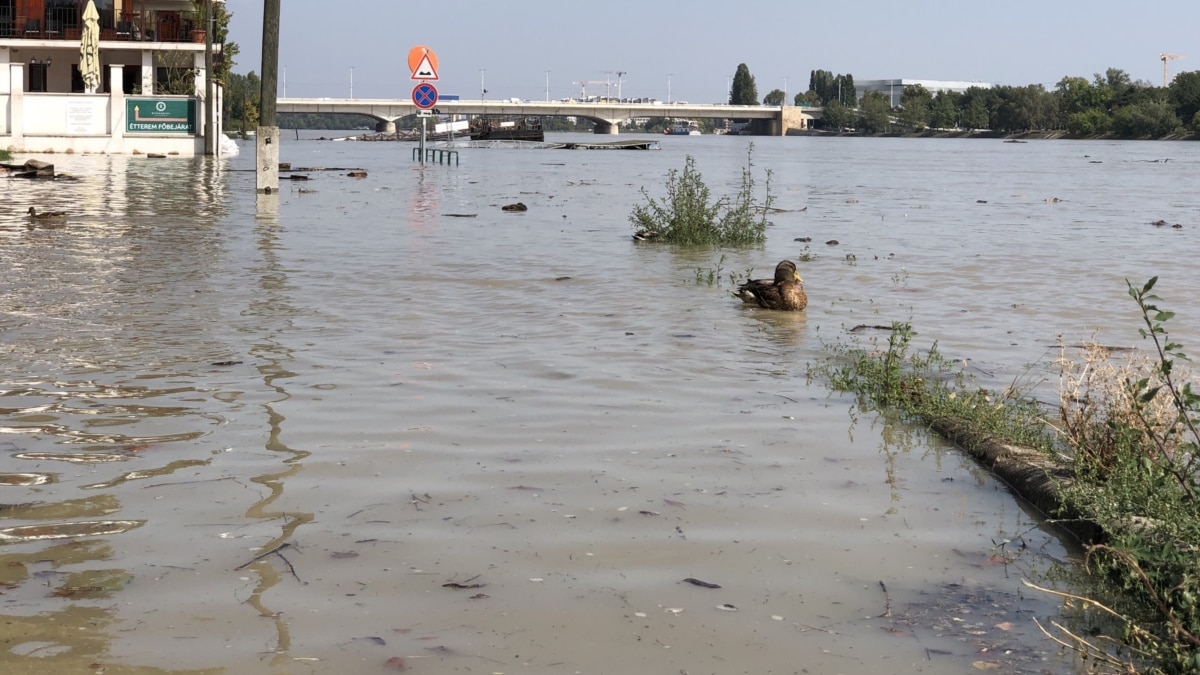 Hungary Braces For Potential Catastrophic Floods As Danube Rises