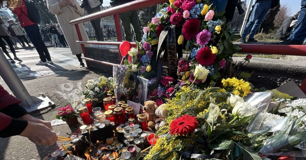 Дванаесет години затвор за возачот кој ја прегази Фросина