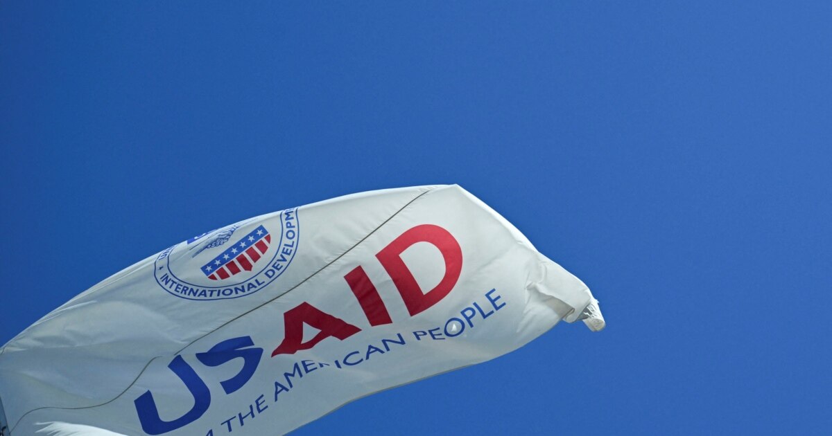 Šta je USAID i zašto je na meti Trumpa i Muska?