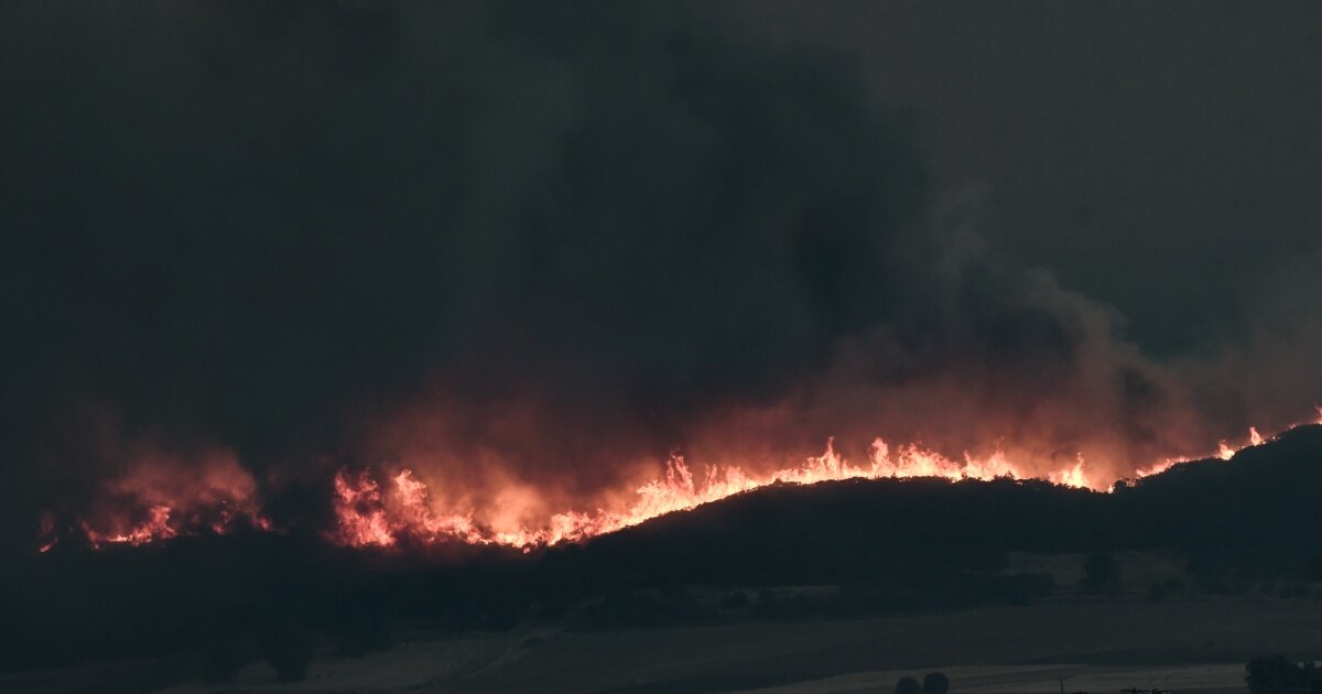 Greqi: 18 të vdekur në një pyll të përfshirë nga zjarri